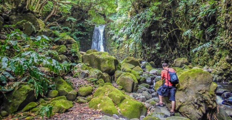 Full-Day Faial da Terra + Nordeste from Ponta Delgada - An In-Depth Look at the Tour