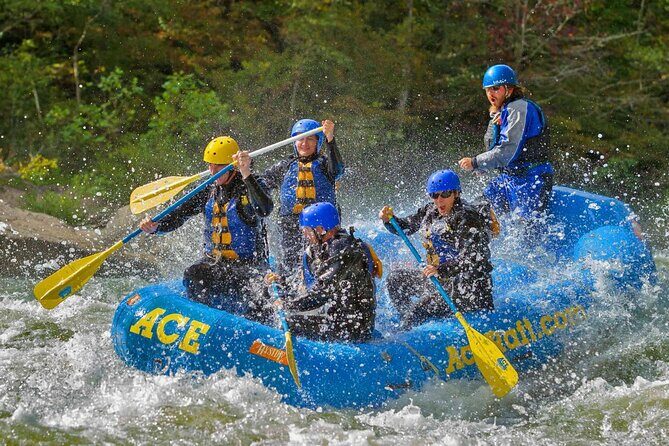 Full Day Fall Lower Gauley Rafting in West Virginia - An Introduction to the Gauley River Whitewater Adventure