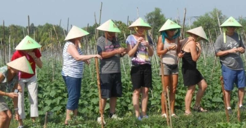Full-Day Farming & Cooking class at Agricultural Village - A Detailed Look at the Full-Day Farming & Cooking Experience
