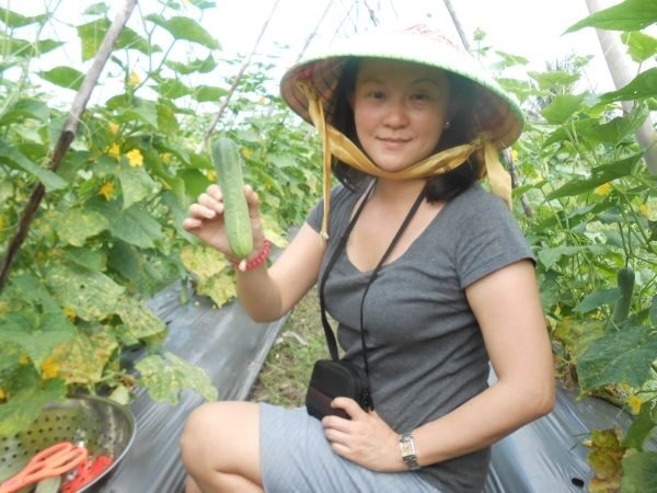 Full-Day Farming & Cooking class at Agricultural Village - Who Will Love This Tour?