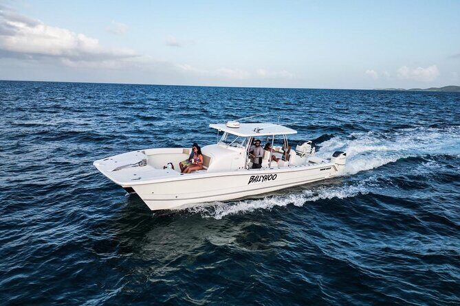 Full-Day Fishing Charter in East Coast, Puerto Rico - The Authentic Experience and Authentic Feedback