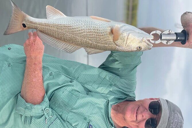 Full day Fishing Charter in Tarpon Springs - Key Points