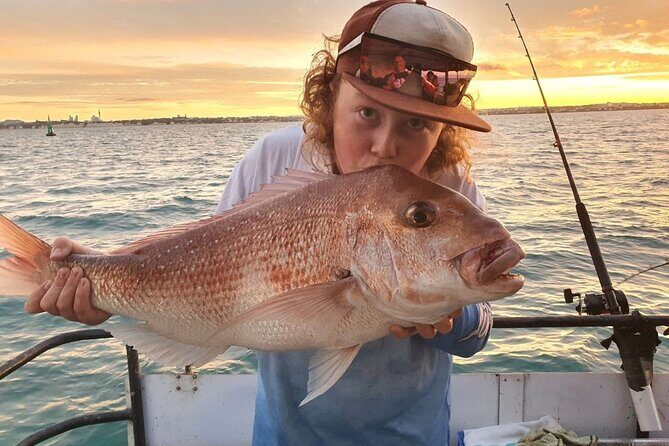 Full Day Fishing Trip on Auckland Waitemata Harbour - Introduction: An Authentic Day on Auckland’s Waters
