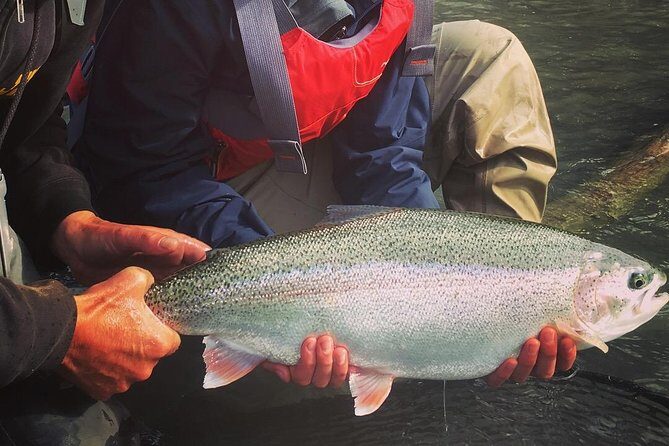 Full day fishing trips - Navigating the Itinerary