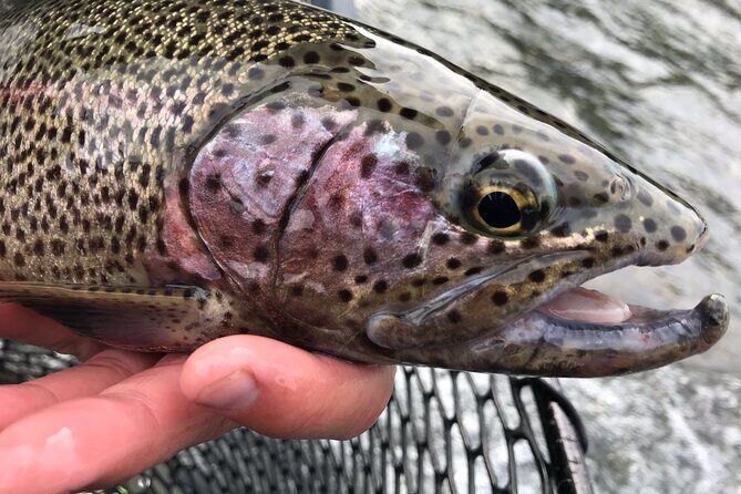 Full day fishing trips - Equipment and Comfort