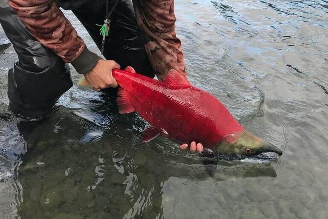 Full day fishing trips - Cost and Value