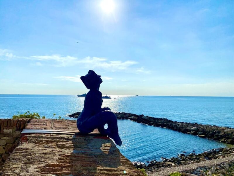 Full day French Riviera Panorama Tour - Practical Details & What to Keep in Mind