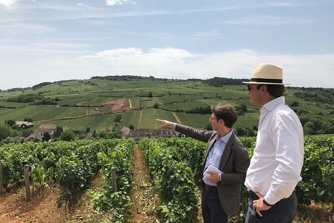Full day from Beaune: the most of Burgundy, with lunch - A Taste of Burgundy: Full Day from Beaune Tour Review