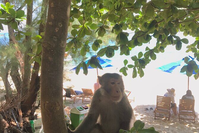 Full Day Fun Diving and Snorkeling By Tiger Fish Divers - What Makes This Tour Special