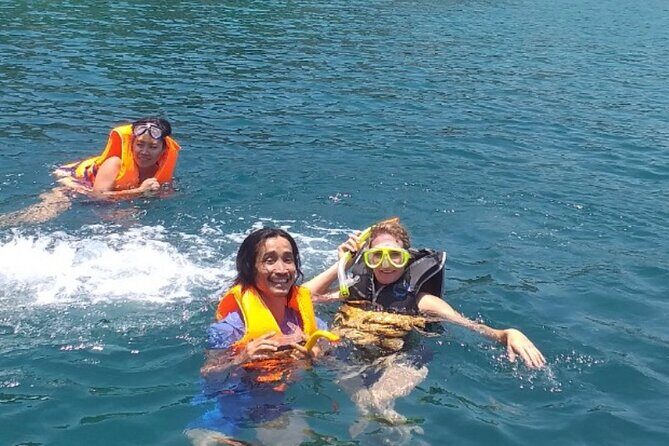 Full Day Fun Diving and Snorkeling By Tiger Fish Divers - What to Expect at Each Part of the Tour