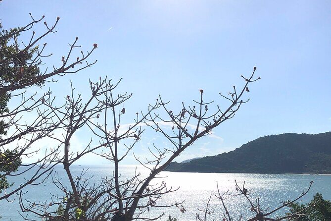 Full Day Fun Diving and Snorkeling By Tiger Fish Divers - Who Should Consider This Tour