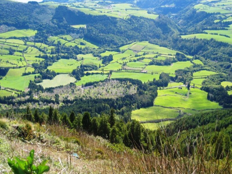 Full-Day Furnas Azores 4x4 Tour from Ponta Delgada - Transportation, Group Size, and Value