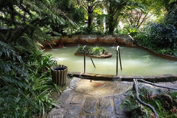 Full-Day Furnas Tour: Hot Springs, Traditional Lunch & Tea - The Sum Up: Who Will Love This Tour?