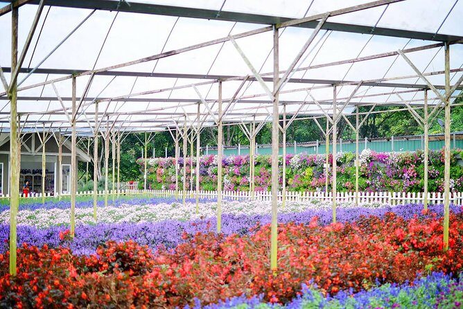 Full-Day Genting Higland Tour En-route Batu Caves - A Practical Introduction to the Tour