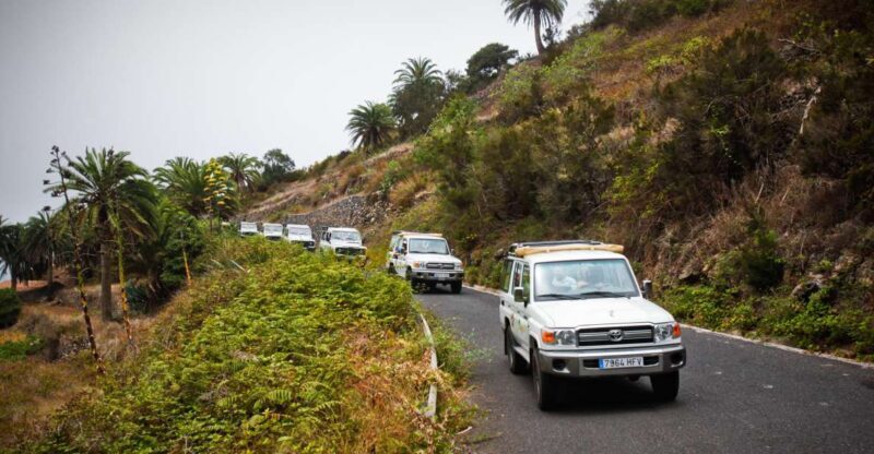 Full-Day Gomera Jeep Safari Excursion from Arona - La Gomera’s Unique Landscape