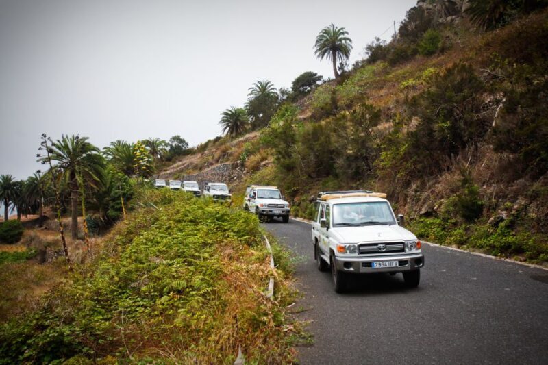 Full-Day Gomera Jeep Safari Excursion from Arona - Charming Villages and Local Life