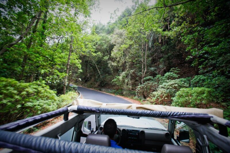 Full-Day Gomera Jeep Safari Excursion from Arona - Highlights and Scenic Stops
