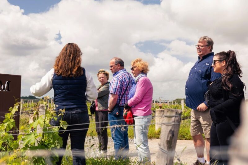 Full-Day gourmet tour & Medoc visit & tasting - Final Thoughts