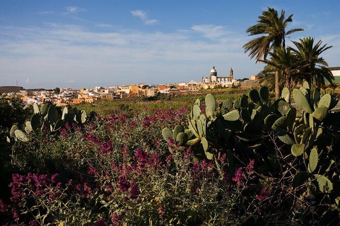 Full-Day Gran Canaria Island Tour - Cumbres - Pricing and Overall Value