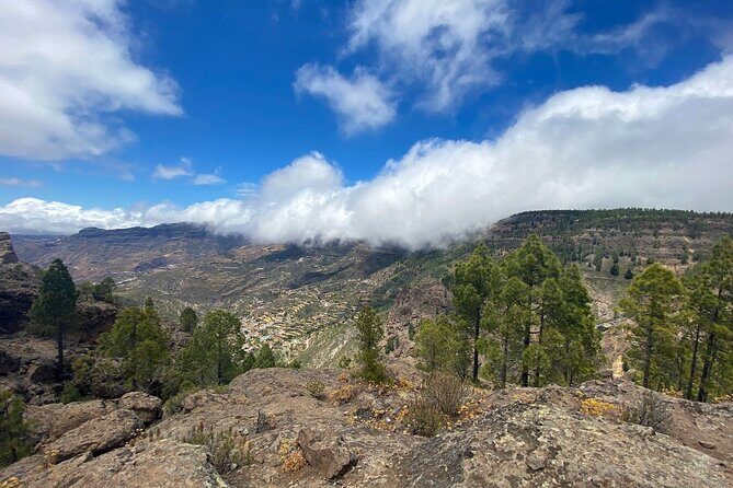 Full-Day Gran Canaria Tour with Teror, Tejeda and Lunch in Fataga - Meal and Tastings