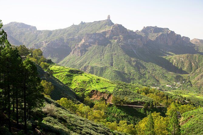 Full-Day Gran Canaria Tour with Teror, Tejeda and Lunch in Fataga - Overall Value and Who Should Book