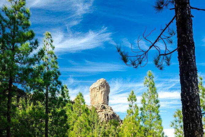 Full-Day Gran Canaria Tour with Teror, Tejeda and Lunch in Fataga - Frequently Asked Questions