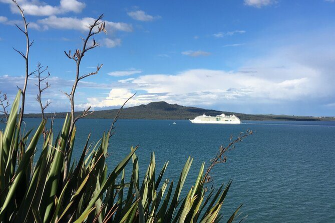 Full-Day Grand Auckland Volcanoes Tour - Who Will Love This Tour?