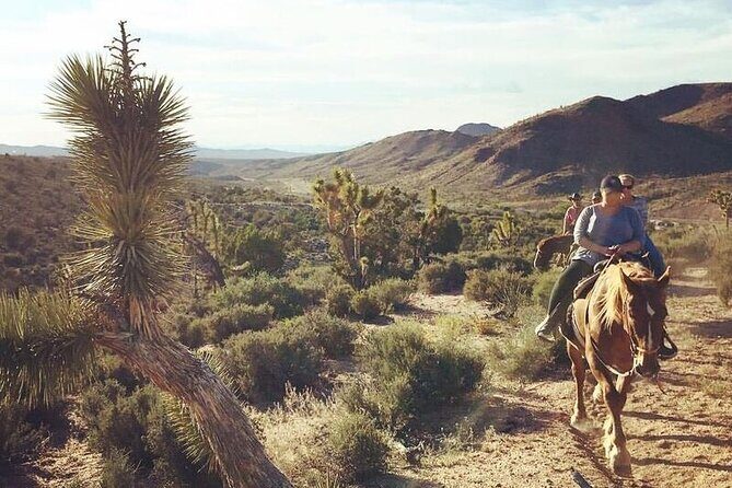 Full Day Grand Canyon Trip with Horseback Ride From Las Vegas - Who This Tour Is Best For