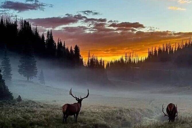 Full Day "Grand Tour" Private Chauffeured Customized Experience - Frequently Asked Questions