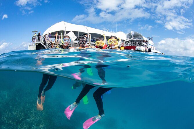 Full-Day Great Barrier Reef Pontoon with Snorkeling & Activities - A Deep Dive into the Experience