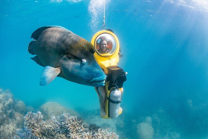 Full-Day Great Barrier Reef Pontoon with Snorkeling & Activities - Wrapping It Up