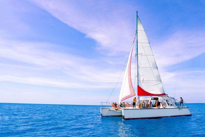 Full-Day Great Barrier Reef Sailing Trip from Cairns - Frequently Asked Questions