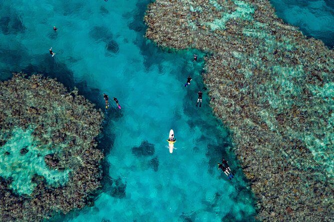 Full-Day Great Barrier Reef Snorkeling from Hamilton Island - Starting Point and Departure Details