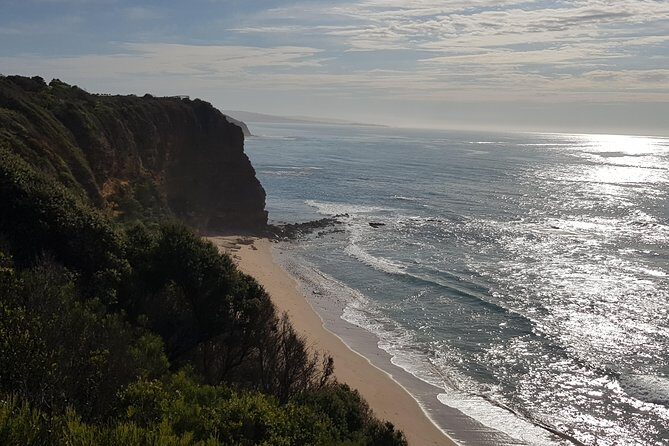 Full-Day Great Ocean Road Tour from Melbourne - Exploring the Itinerary: What To Expect at Each Stop