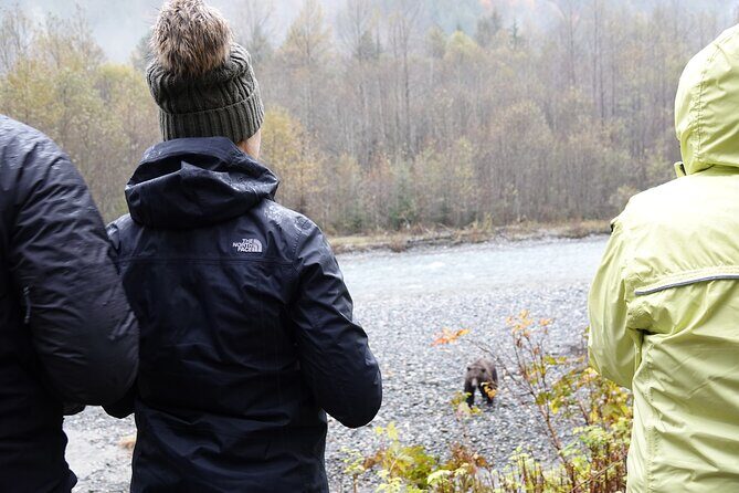 Full Day Grizzly Bear Tour to Bute Inlet - Final Thoughts
