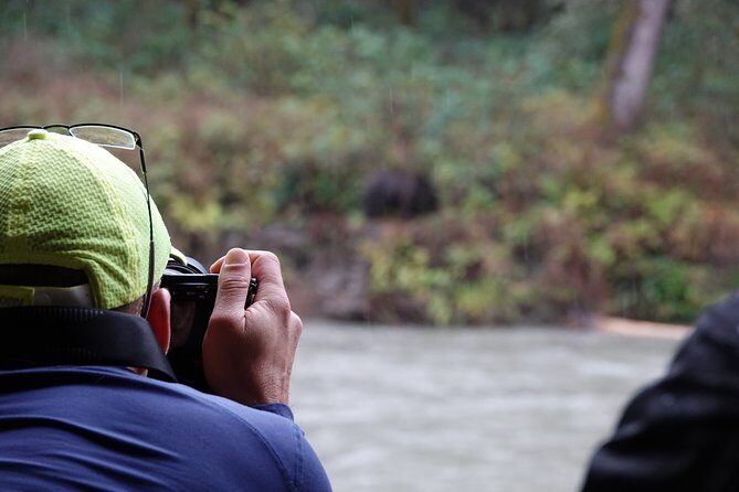 Full Day Grizzly Bear Tour to Toba Inlet - An In-Depth Look at the Full Day Experience