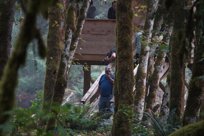 Full Day Grizzly Bear Tour to Toba Inlet - FAQs