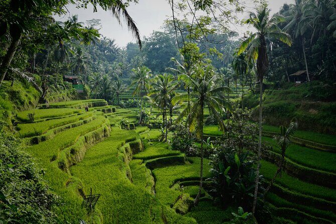 Full Day Group Tour Bali Great Introduction with Lunch - FAQ