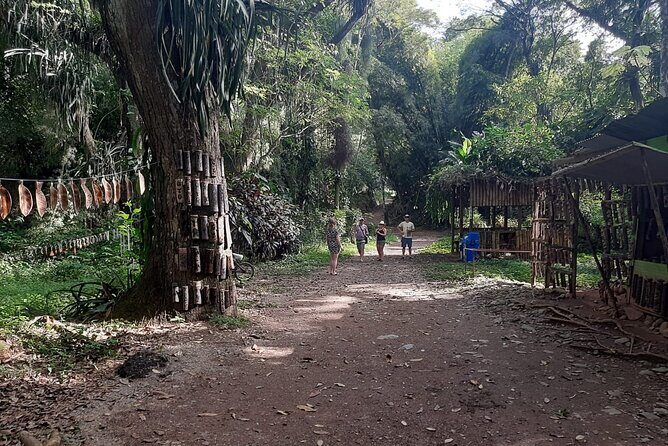 Full Day Group Tour in Tobago Atlantic Coast - The Sum Up