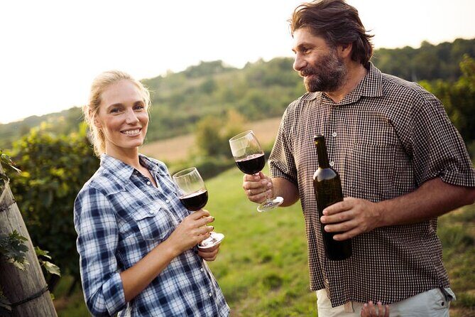 Full-Day Group Wine Tour (with cheese and charcuterie) in Niagara-on-the-Lake - Key Points
