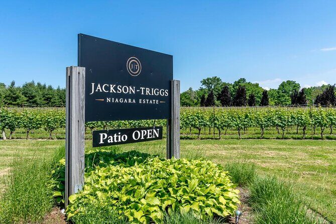 Full-Day Group Wine Tour (with cheese and charcuterie) in Niagara-on-the-Lake - What to Expect: Practical Details