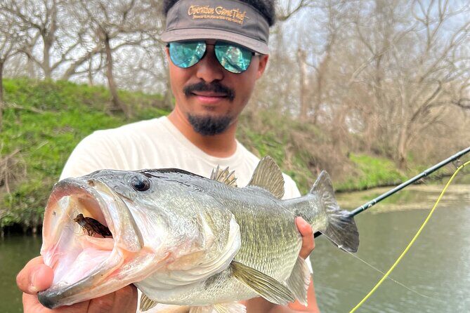 Full Day Guided Fishing Tour in Canyon Lake - Key Points