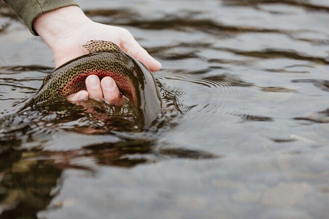 Full Day Guided Fly Fishing Trip Drift Boat - Frequently Asked Questions