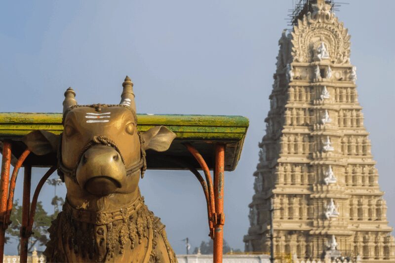 Full Day Guided Group Tour to Mysore from Bengaluru - Who Will Love This Tour?
