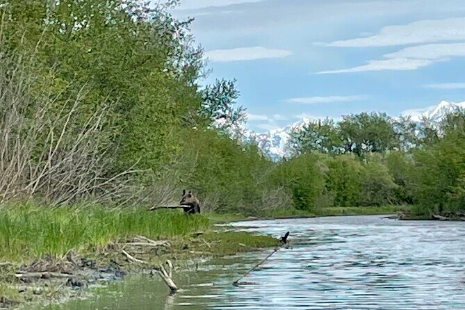 Full Day Guided Kayak Tour on Knik River - Final Thoughts – Is It Worth It?
