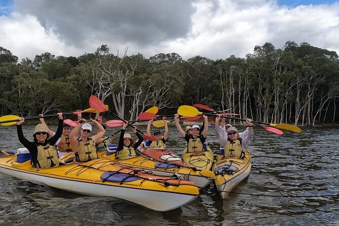 Full-Day Guided Noosa Everglades Kayak Tour - Introduction and Who Will Love This Tour