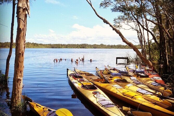 Full-Day Guided Noosa Everglades Kayak Tour - Pricing and Value