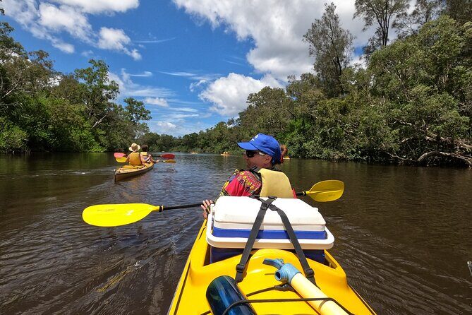 Full-Day Guided Noosa Everglades Kayak Tour - FAQ