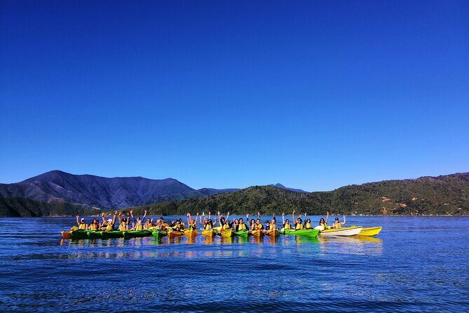 Full day Guided Sea Kayak Tour from Picton - An In-Depth Look at the Guided Sea Kayak Tour from Picton