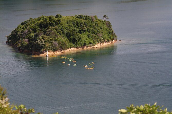 Full day Guided Sea Kayak Tour from Picton - FAQ